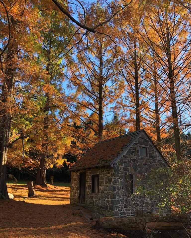 The Newlin Grist Mill